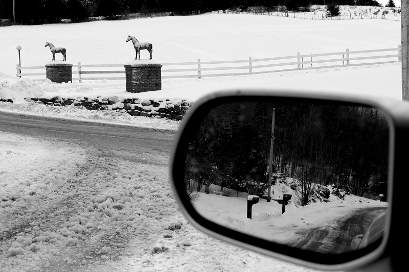 I only know how to take one photo - The Image Journey